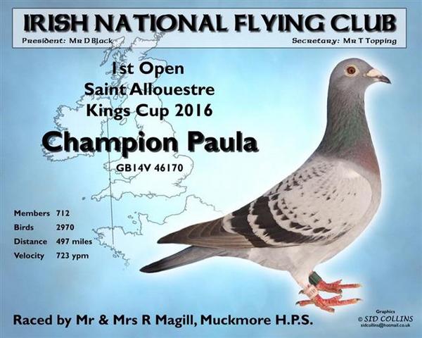 INFC Race Report by Homer - Penzance YB Grand Nat - 27-09-23 | Elimar ...