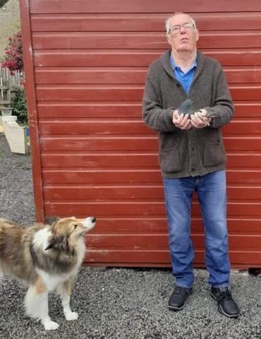 NIPA Race Report - 02-08-22 | Elimar Pigeon Services Limited