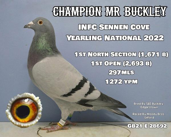 INFC Dinner Report by Homer - 30-11-22 | Elimar Pigeon Services Limited