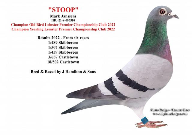 INFC Race Report by Homer - Skibbereen OB Nat 30/05/23 | Elimar Pigeon ...