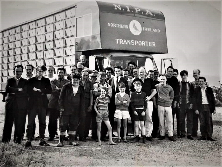 NIPA race report by Homer - 3rd Roscrea YB - | Elimar Pigeon Services ...