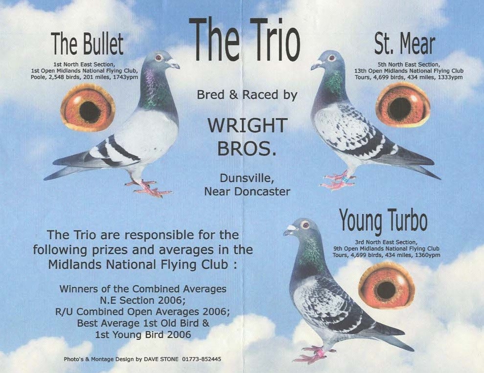 Wright Bros 60yrs at the top | Elimar Pigeon Services Limited